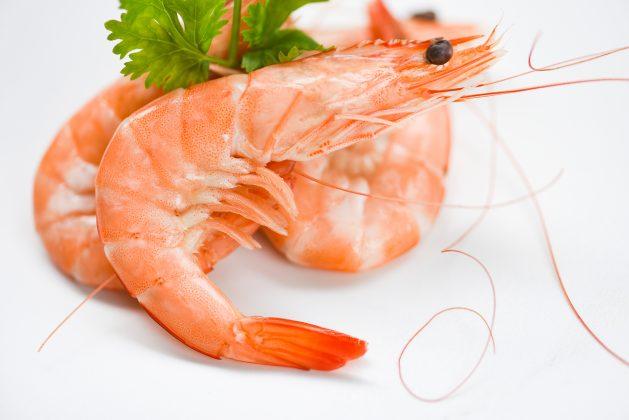 Foods That Help You Gain Muscle Fast | Breaking Muscle